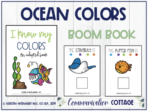 I Know My Colors: Adapted Book – Communication Cottage LLC