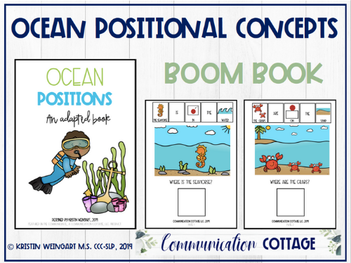 Ocean Positional Concepts: Adapted Book – Communication Cottage LLC